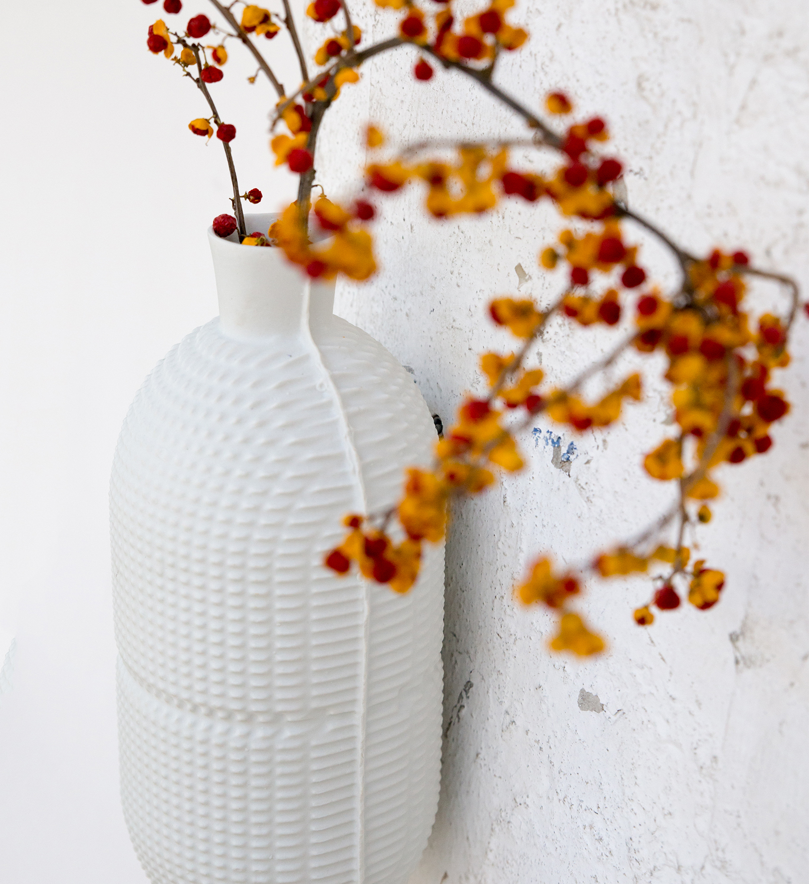 Hang-Vaas | Cor Unum